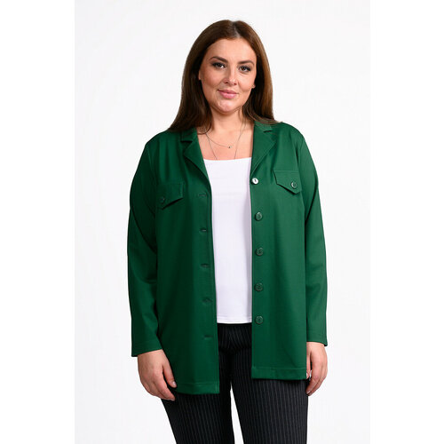 Пиджак SVESTA, размер 58, зеленый