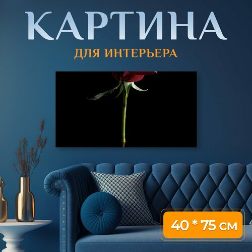 Картина на холсте "Роза, цветок, валентинка" на подрамнике 75х40 см. для интерьера