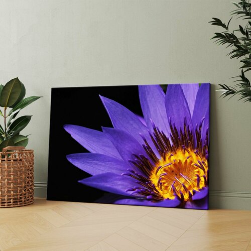 Картина на холсте (Фиолетовые цветы, макро, экзотические, макросъемка, ботанический сад, цветок лотоса) 50x70 см. Интерьерная, на стену.