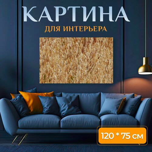 Картина на холсте "Кукурузное поле, поле, зерно" на подрамнике 120х75 см. для интерьера