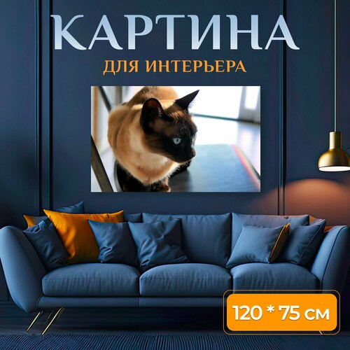 Картина на холсте "Кошка, животное, домашний питомец" на подрамнике 120х75 см. для интерьера