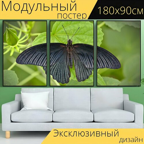 Модульный постер "Бабочка, макрос, насекомое" 180 x 90 см. для интерьера