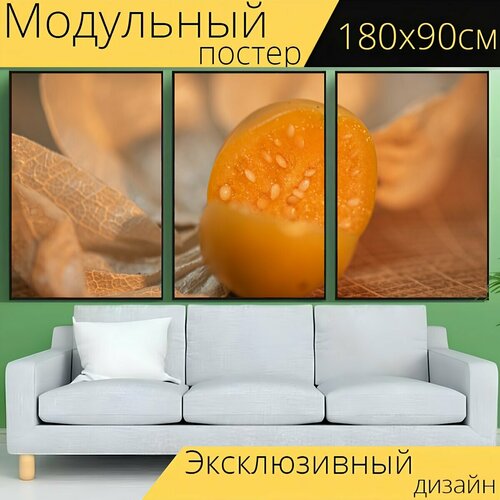 Модульный постер "Физалис, фрукты, семян" 180 x 90 см. для интерьера