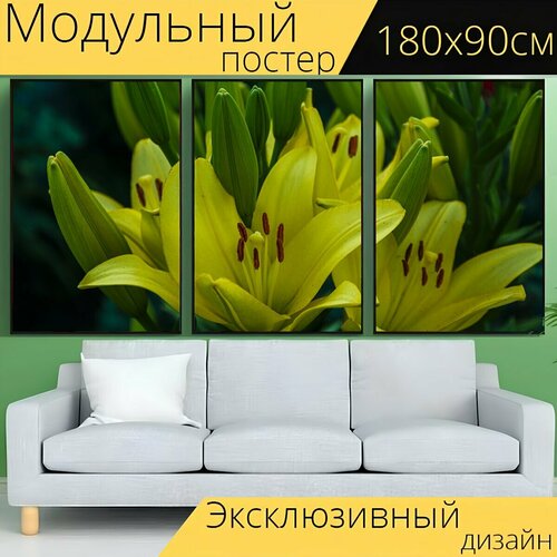 Модульный постер "Лилии, желтый, цветок" 180 x 90 см. для интерьера