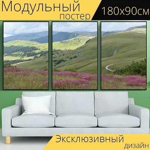 Модульный постер "Горная дорога, горные цветы, альпийские цветы" 180 x 90 см. для интерьера