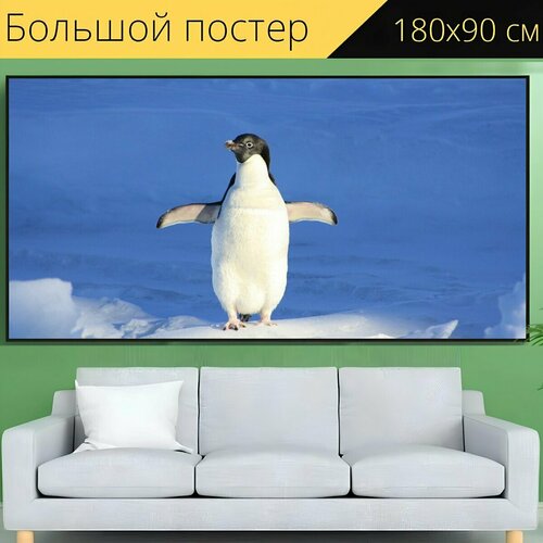 Большой постер "Пингвин, веселье, синий" 180 x 90 см. для интерьера