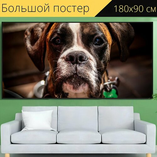 Большой постер "Собака, боксер, домашнее животное" 180 x 90 см. для интерьера