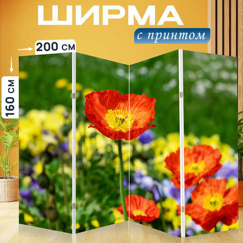 Ширма перегородка с принтом "Мак, цветок, цвести" на холсте - 200x160 см. для зонирования, раскладная
