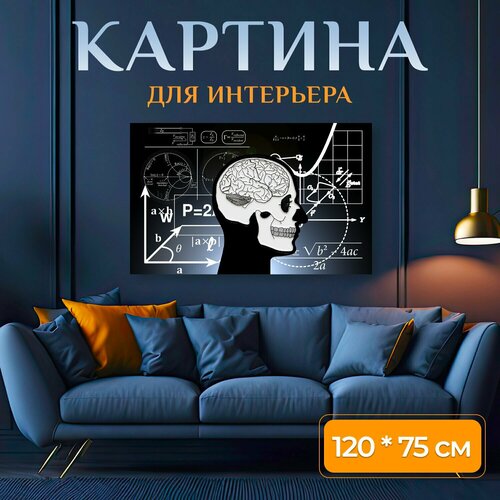 Картина на холсте "Череп и скрещенные кости, череп, мозг" на подрамнике 120х75 см. для интерьера