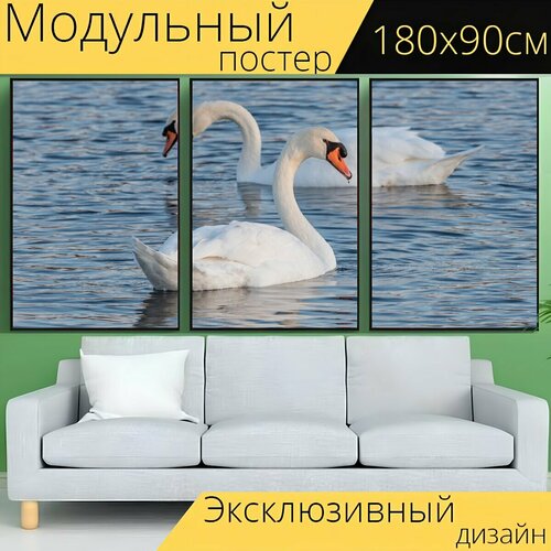 Модульный постер "Лебеди, птицы, природа" 180 x 90 см. для интерьера