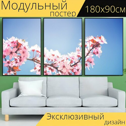 Модульный постер "Весна, вишни в цвету, большое количество естественного света" 180 x 90 см. для интерьера