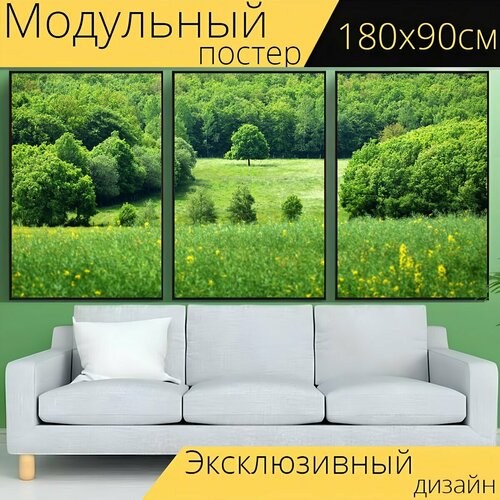 Модульный постер "Сельская местность, летом, лес" 180 x 90 см. для интерьера