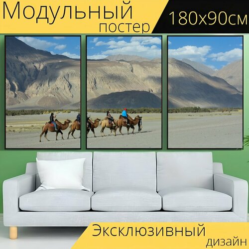 Модульный постер "Верблюд, долина, гора" 180 x 90 см. для интерьера