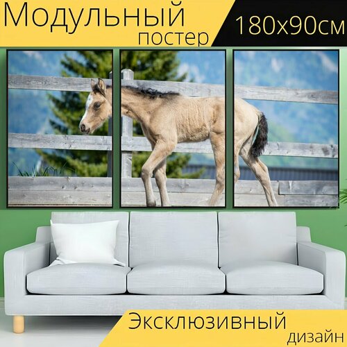 Модульный постер "Жеребенок, лошадь, ранчо" 180 x 90 см. для интерьера