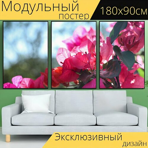Модульный постер "Розовые цветы, листья, розовые лепестки" 180 x 90 см. для интерьера