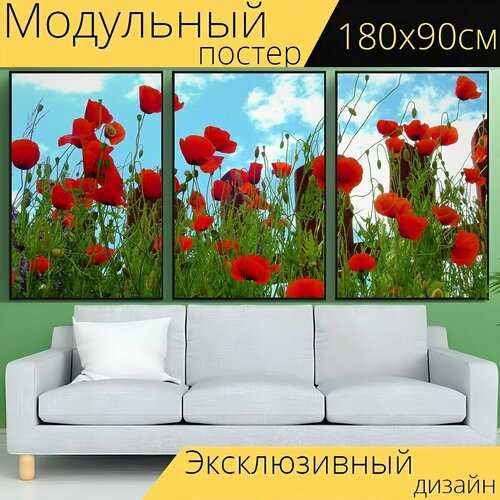 Модульный постер "Маки, небо, цветы" 180 x 90 см. для интерьера