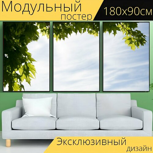Модульный постер "Облака, листья, природа" 180 x 90 см. для интерьера
