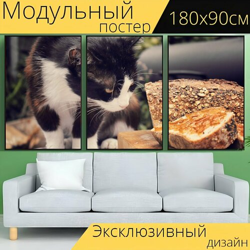 Модульный постер "Кошка, хлеб, деревянная доска" 180 x 90 см. для интерьера