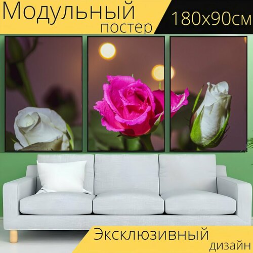 Модульный постер "Цветок, растения, розы" 180 x 90 см. для интерьера