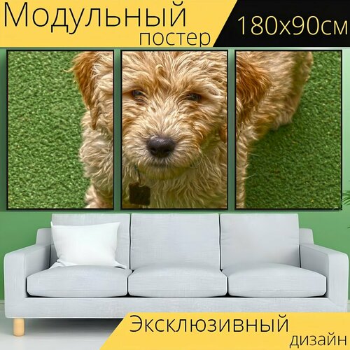 Модульный постер "Собака, щенок, золотой каракули" 180 x 90 см. для интерьера