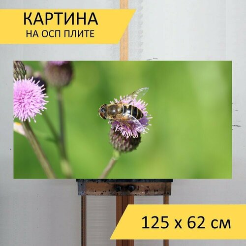 Картина на ОСП 125х62 см. "Пчела, насекомое, цветочная пыльца" горизонтальная, для интерьера, с креплениями