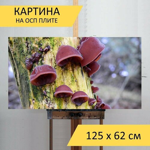 Картина на ОСП 125х62 см. "Природа, грибы, дерево" горизонтальная, для интерьера, с креплениями