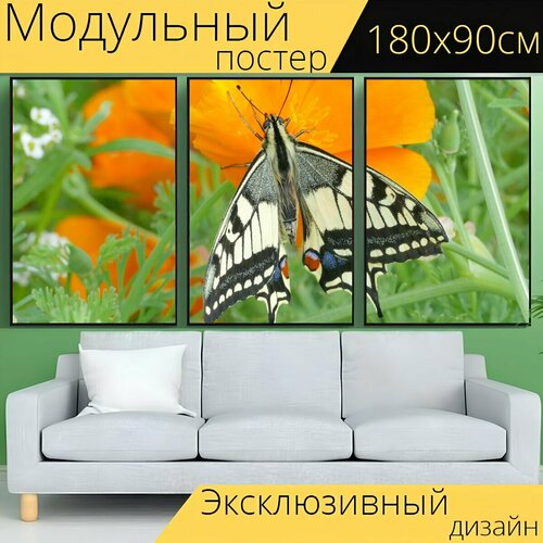 Модульный постер "Бабочка, ласточкин хвост бабочка, насекомое" 180 x 90 см. для интерьера