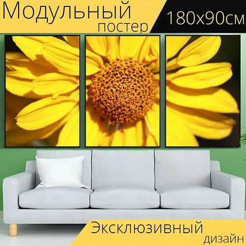 Модульный постер "Цветок, желтый, завод" 180 x 90 см. для интерьера