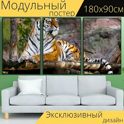 Модульный постер "Животное, тигр, хищник" 180 x 90 см. для интерьера