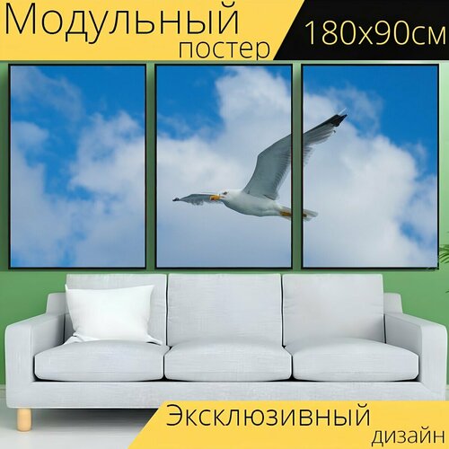 Модульный постер "Чайка, птица, крыло" 180 x 90 см. для интерьера