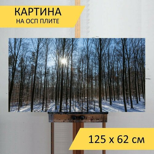 Картина на ОСП 125х62 см. "Зима, солнце, лес" горизонтальная, для интерьера, с креплениями