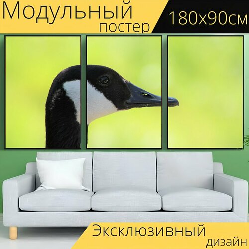 Модульный постер "Гусь, птица, закрывать" 180 x 90 см. для интерьера