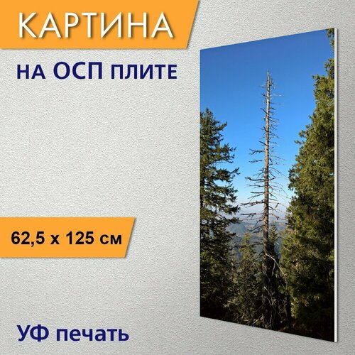 Вертикальная картина на ОСП "Лес, дерево, природа" 62x125 см. для интерьериа