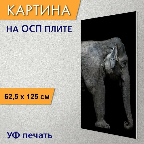 Вертикальная картина на ОСП "Слон, африка, сафари" 62x125 см. для интерьериа