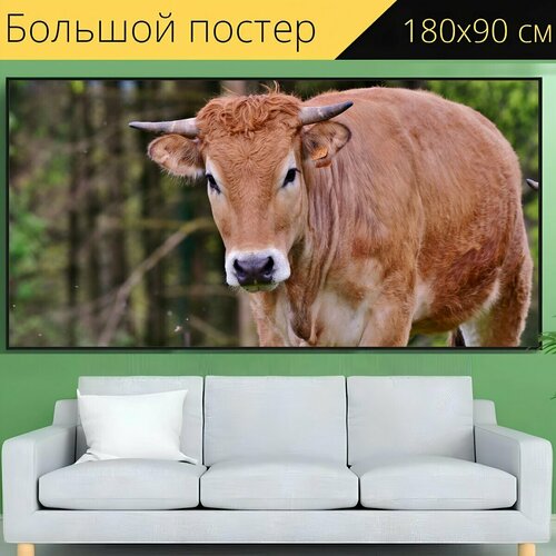 Большой постер "Корова, животное, рога" 180 x 90 см. для интерьера