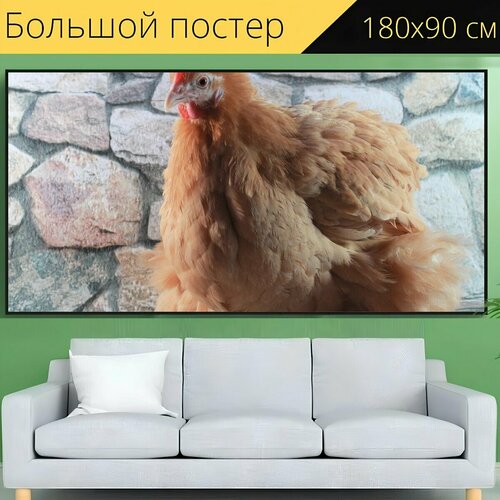 Большой постер "Курица, домашняя птица, животное" 180 x 90 см. для интерьера