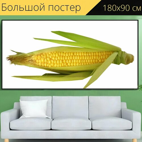Большой постер "Овощ, сладкая кукуруза, резать" 180 x 90 см. для интерьера