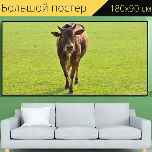 Большой постер "Корова, животное, ферма" 180 x 90 см. для интерьера