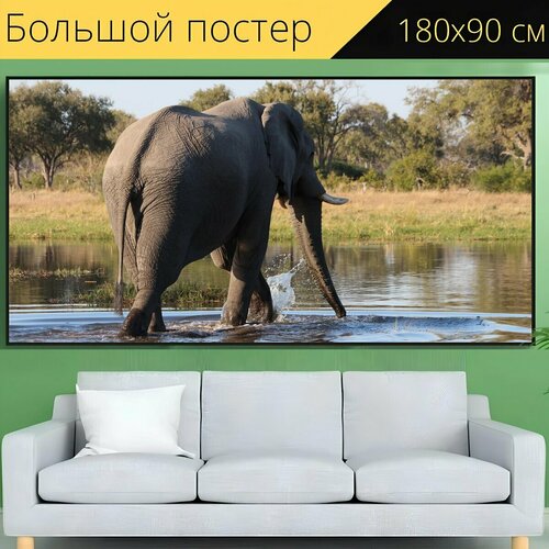Большой постер "Слон, куст, ботсвана" 180 x 90 см. для интерьера