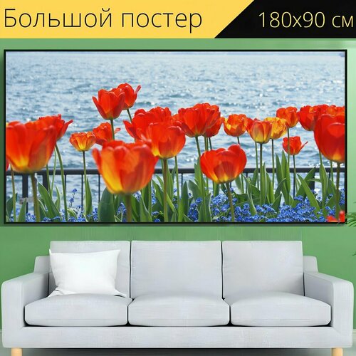 Большой постер "Цветок, тюльпаны, природа" 180 x 90 см. для интерьера
