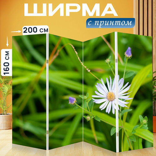 Ширма перегородка с принтом "Природа, цветок, маргаритка" на холсте - 200x160 см. для зонирования, раскладная