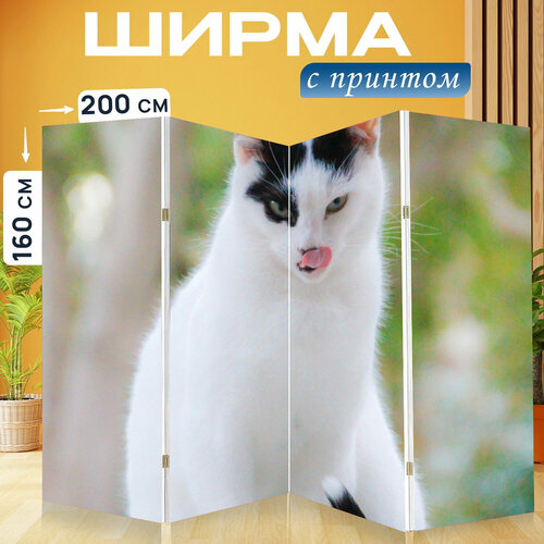 Ширма перегородка с принтом "Кошка, белый, котенок" на холсте - 200x160 см. для зонирования, раскладная