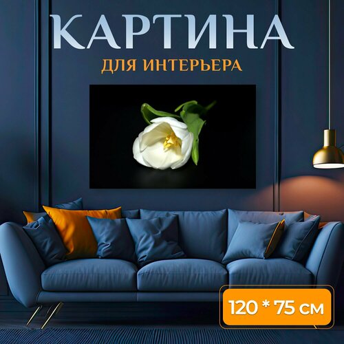 Картина на холсте "Тюльпан, белый, цвести" на подрамнике 120х75 см. для интерьера