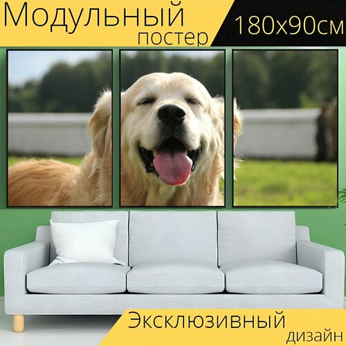 Модульный постер "Собака, домашнее животное, млекопитающие" 180 x 90 см. для интерьера