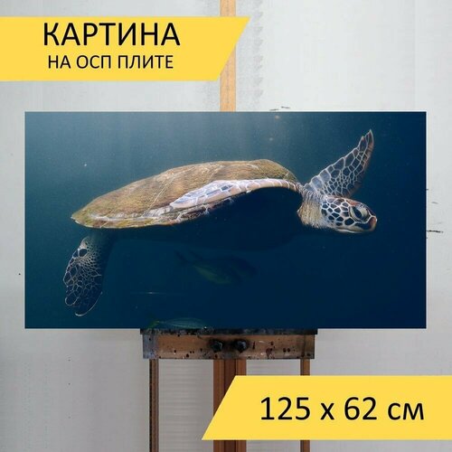 Картина на ОСП 125х62 см. "Черепаха, животное, вода" горизонтальная, для интерьера, с креплениями
