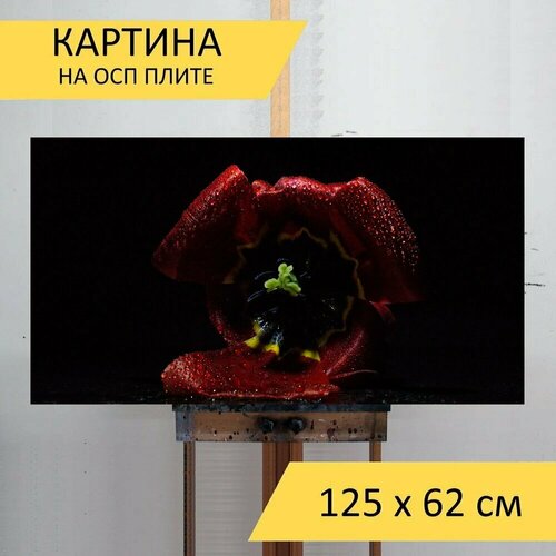 Картина на ОСП 125х62 см. "Тюльпан, темный, свет" горизонтальная, для интерьера, с креплениями