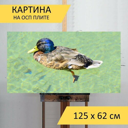 Картина на ОСП 125х62 см. "Утка, домашняя птица, водоплавающая птица" горизонтальная, для интерьера, с креплениями