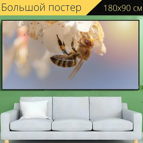 Большой постер "Пчела, насекомое, вишни в цвету" 180 x 90 см. для интерьера