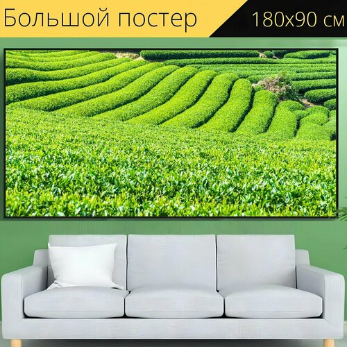 Большой постер "Чай, зеленый, ферма" 180 x 90 см. для интерьера