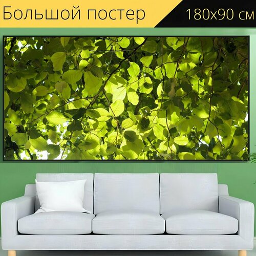 Большой постер "Листья, зеленый, природа" 180 x 90 см. для интерьера